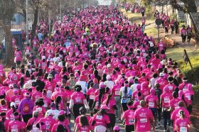 THE CITY HAS APPOINTED ADVOCATE SESI BALOYI SC TO CHAIR, CONDUCT LEGAL ...