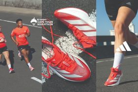 THE CITY HAS APPOINTED ADVOCATE SESI BALOYI SC TO CHAIR, CONDUCT LEGAL ...